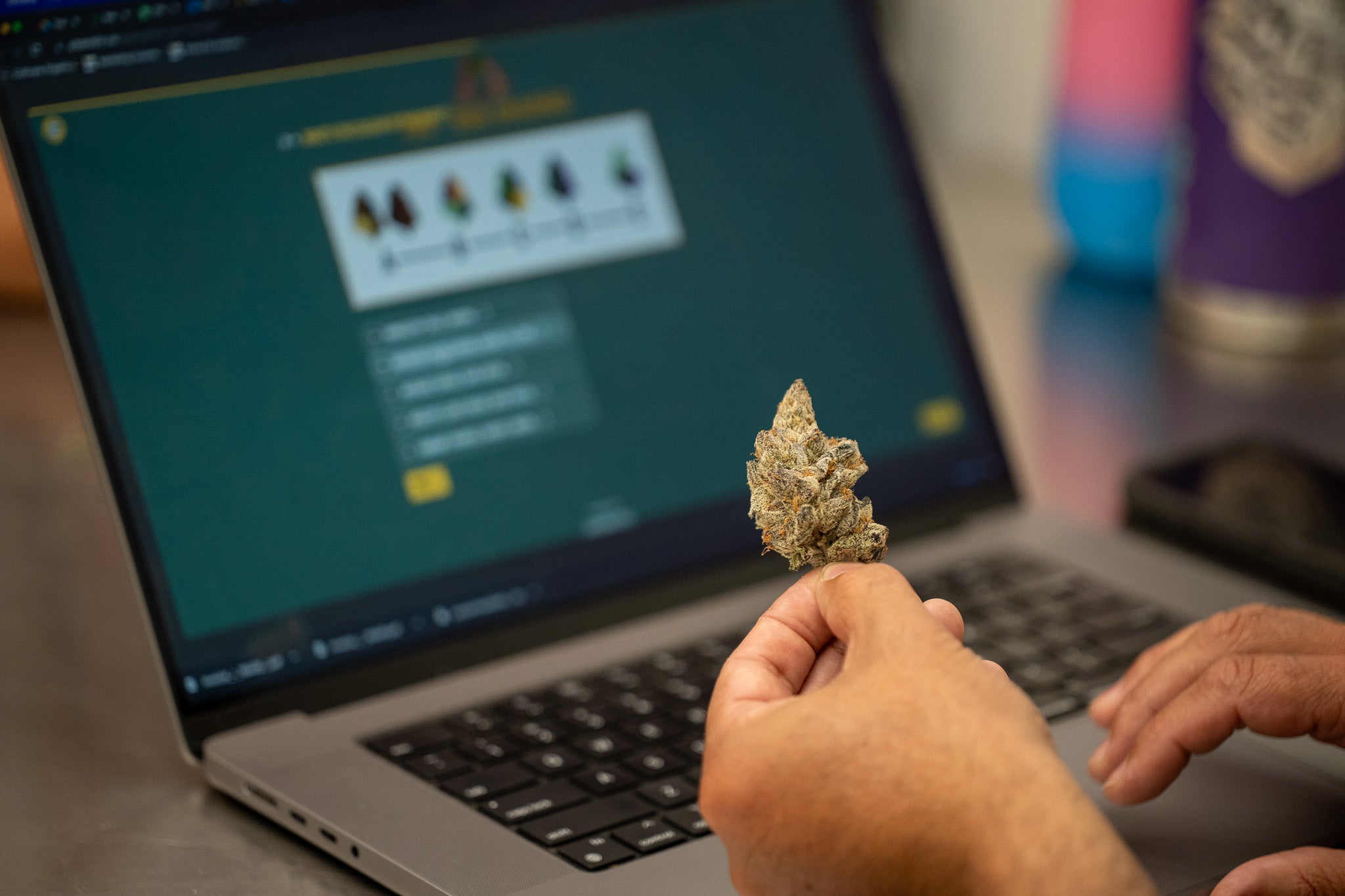 Sensemillier™ Grading Platform for Producers